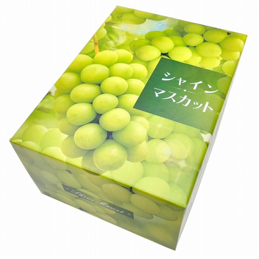 【シャインマスカット C式 1.5kg】10枚入 2房用 1.5キロ用 シャインマスカットギフト用化粧箱 果物箱 （AA6762-10） : 葡萄館 Yahoo!店 - 通販 - Yahoo ...