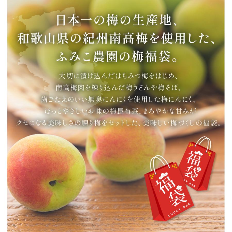 お得なふみこの梅福袋 たっぷり6点セット 送料無料 低塩 紀州南高梅 梅かつおにんにく 梅うどん 梅そば 梅昆布茶 ねり梅 人気の梅製品をセット！ (fy5) : 紀州ふみこ農園 - 通販 ...