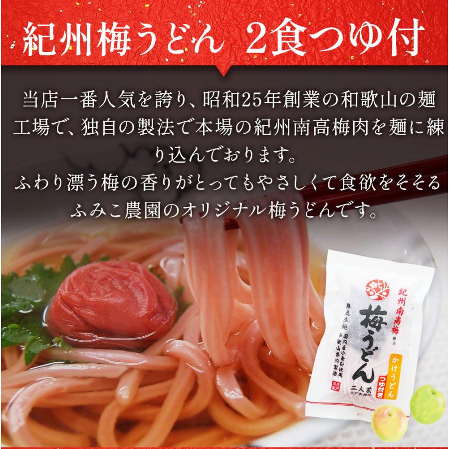 お得なふみこの梅福袋 たっぷり6点セット 送料無料 低塩 紀州南高梅 梅かつおにんにく 梅うどん 梅そば 梅昆布茶 ねり梅 人気の梅製品をセット！ (fy5) : 紀州ふみこ農園 - 通販 ...