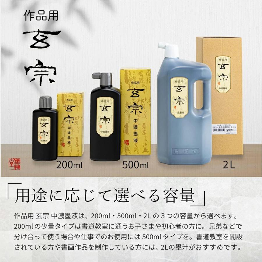 墨運堂 ★墨運堂 500ml 作品用墨液・墨汁 玄宗中濃墨液（11809）中濃度での漢字・調和体の練習・作品作りに最適。5430470 : ぶんぐる - 通販 - Yahoo!ショッピング