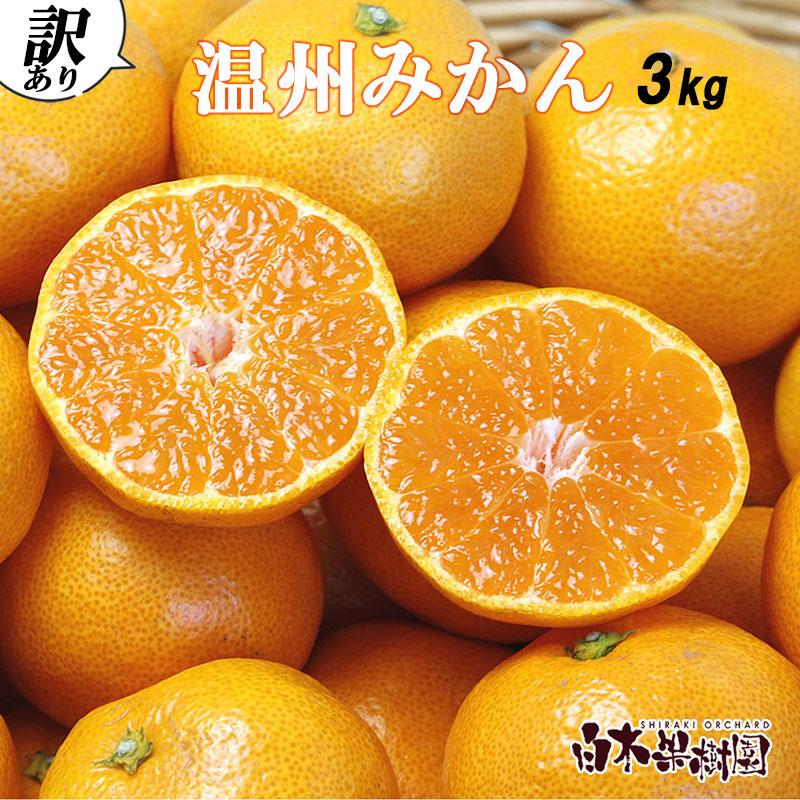 高知県産温州みかん 約3kg 【訳あり】【 ご家庭用】 : m-3k : 文旦屋・白木果樹園 Yahoo!店 - 通販 - Yahoo!ショッピング