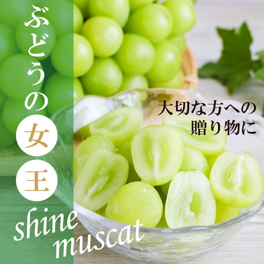【クール送料込】特選秀品シャインマスカット : 文旦屋・白木果樹園 Yahoo!店 - 通販 - Yahoo!ショッピング