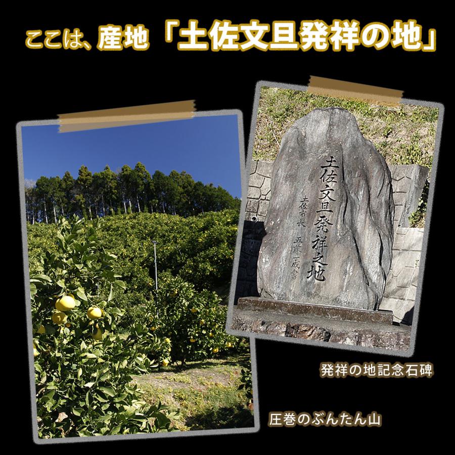 特選秀品土佐文旦 約10kg 3L大玉〜4L特大サイズ : 文旦屋・白木果樹園 Yahoo!店 - 通販 - Yahoo!ショッピング