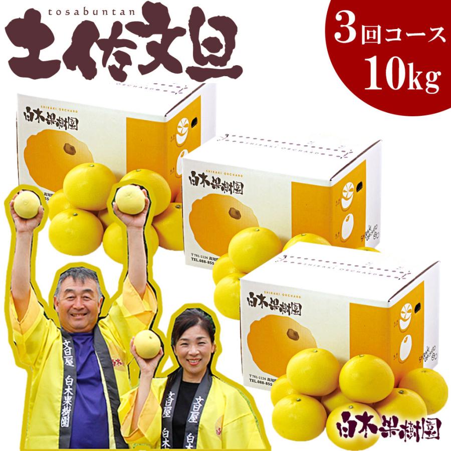 特選秀品土佐文旦 3L大玉〜4L特大 約10kg×3回コース : 文旦屋・白木果樹園 Yahoo!店 - 通販 - Yahoo!ショッピング