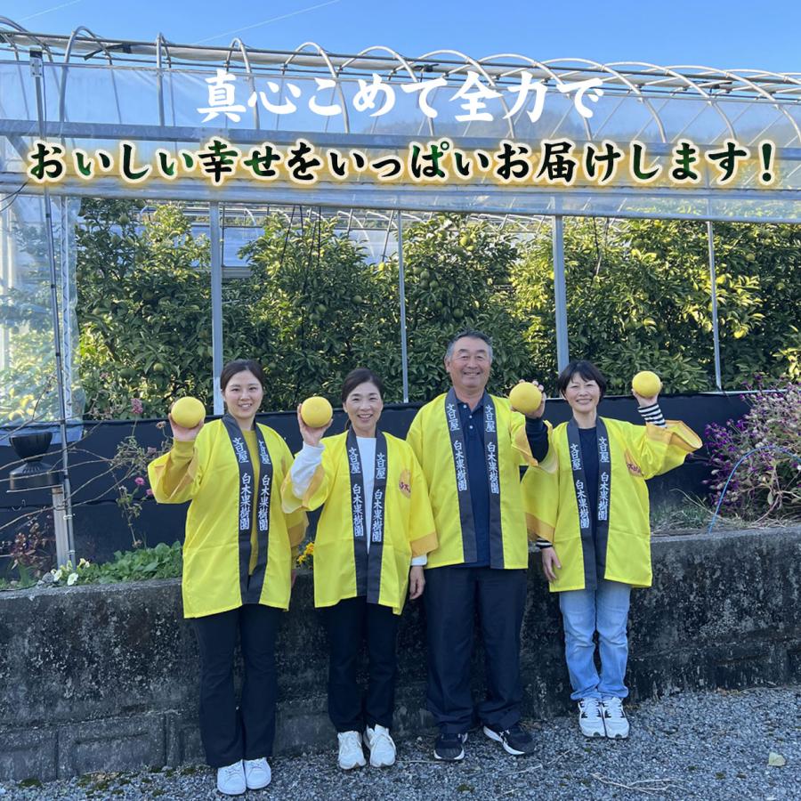 特選秀品土佐文旦 3L大玉〜4L特大 約10kg×3回コース : t3l4l-3cs : 文旦屋・白木果樹園 Yahoo!店 - 通販 - Yahoo!ショッピング