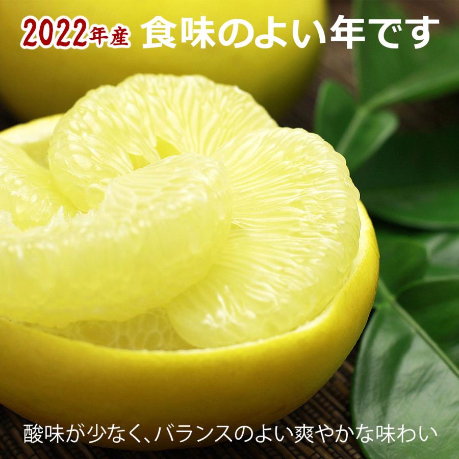 特選秀品土佐文旦 3L大玉〜4L特大 約10kg×3回コース :T3L4L-3CS:文旦屋・白木果樹園 Yahoo!店 - 通販 - Yahoo!ショッピング