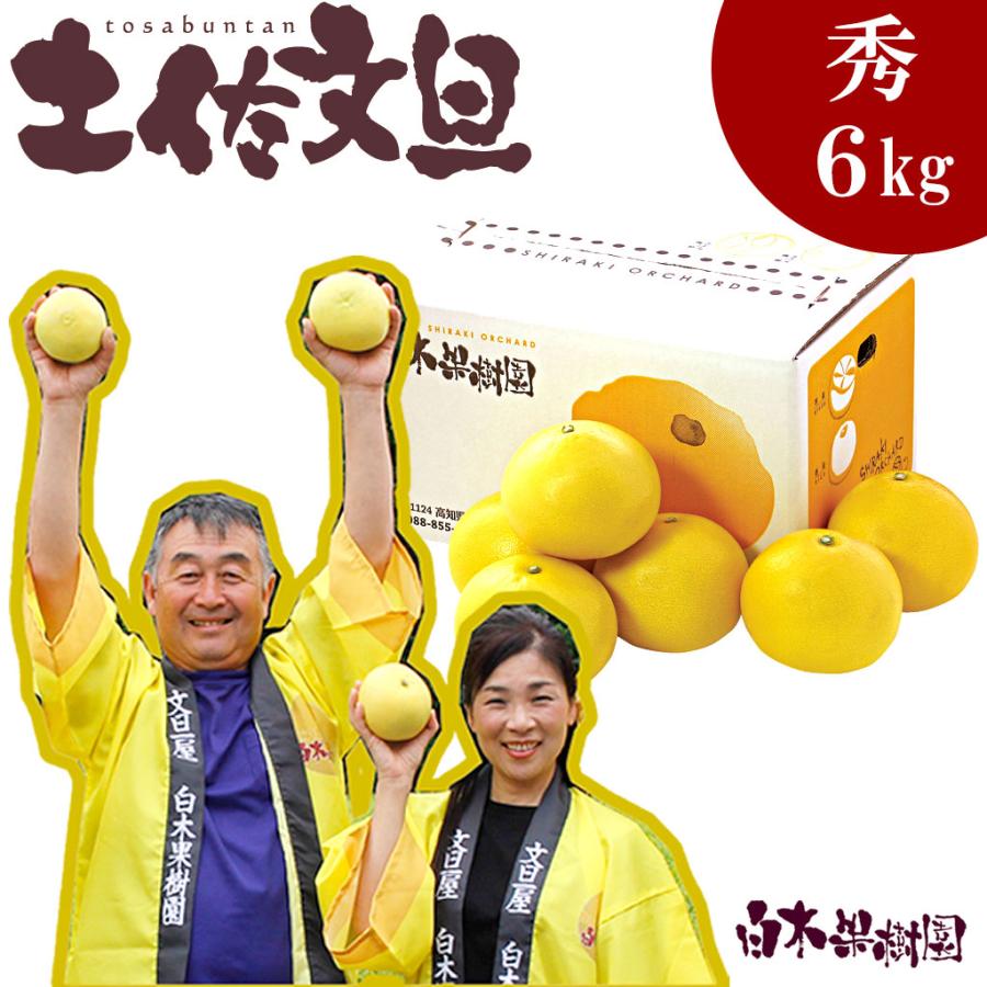 特選秀品土佐文旦 約6kg L小玉〜2L中玉サイズ : 文旦屋・白木果樹園 Yahoo!店 - 通販 - Yahoo!ショッピング