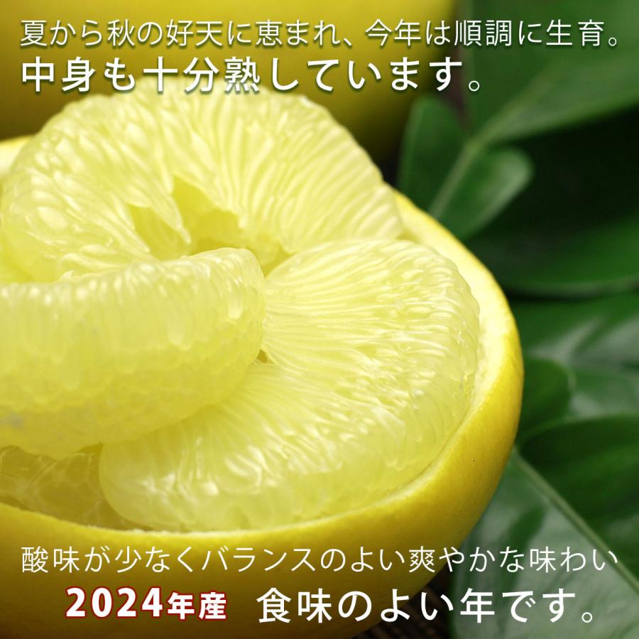 特選秀品土佐文旦 約6kg L小玉〜2L中玉サイズ : 文旦屋・白木果樹園 Yahoo!店 - 通販 - Yahoo!ショッピング