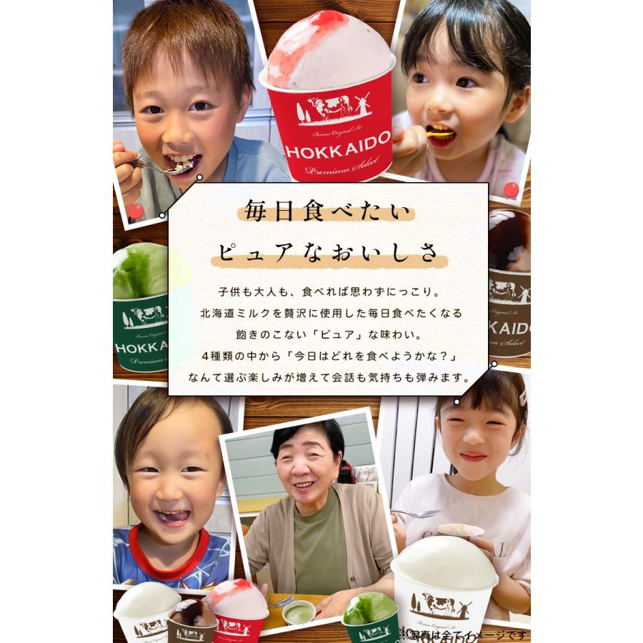 伊藤園（ITO EN） ギフト アイス アイスクリーム 北海道生乳100%使用