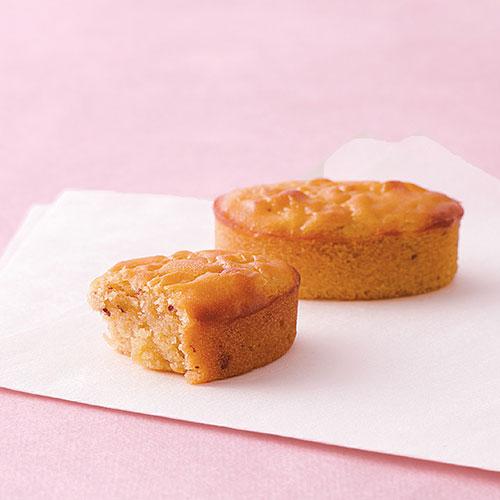 ひととえ こがね芋10号 KGB-10 4192-049 : BuzzHobby - 通販 - Yahoo!ショッピング