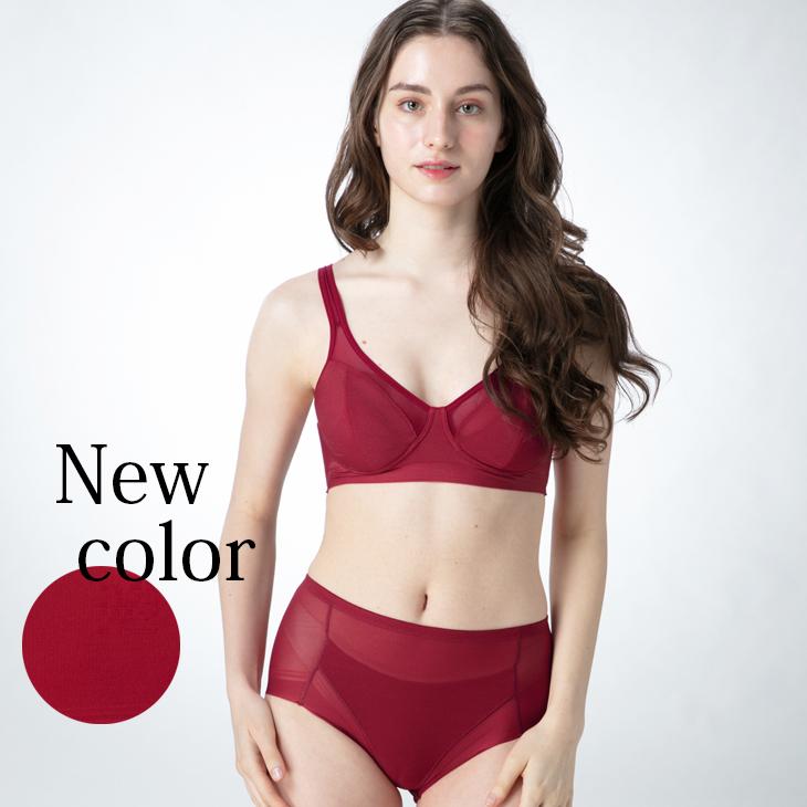 涼パン ショーツ パンツ レディース 3L 4L bvd スタンダードショーツ 吸水速乾 メッシュ 大きいサイズ 蒸れない 軽い 下着 インナー すずぶら 涼ブラ : bljy12wl : B ...