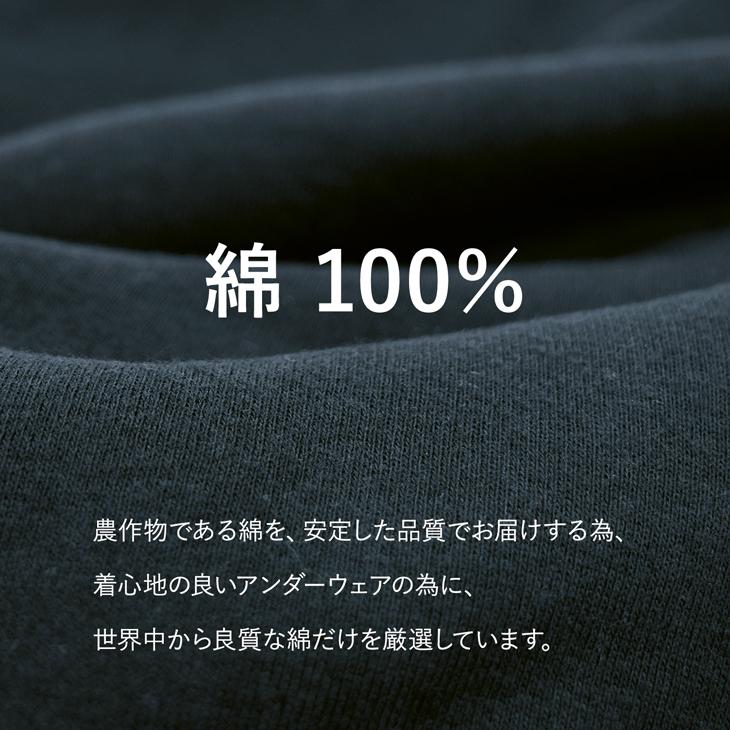 B.V.D B.V.D. GOLD 限定COLOR V首 半袖Tシャツ TOUGH NECK 綿100％ （LL）GF234 bvd BVD ...