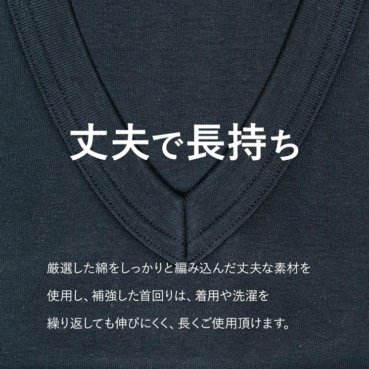 B.V.D B.V.D. GOLD 限定COLOR V首 半袖Tシャツ TOUGH NECK 綿100％ （LL）GF234 bvd BVD ...