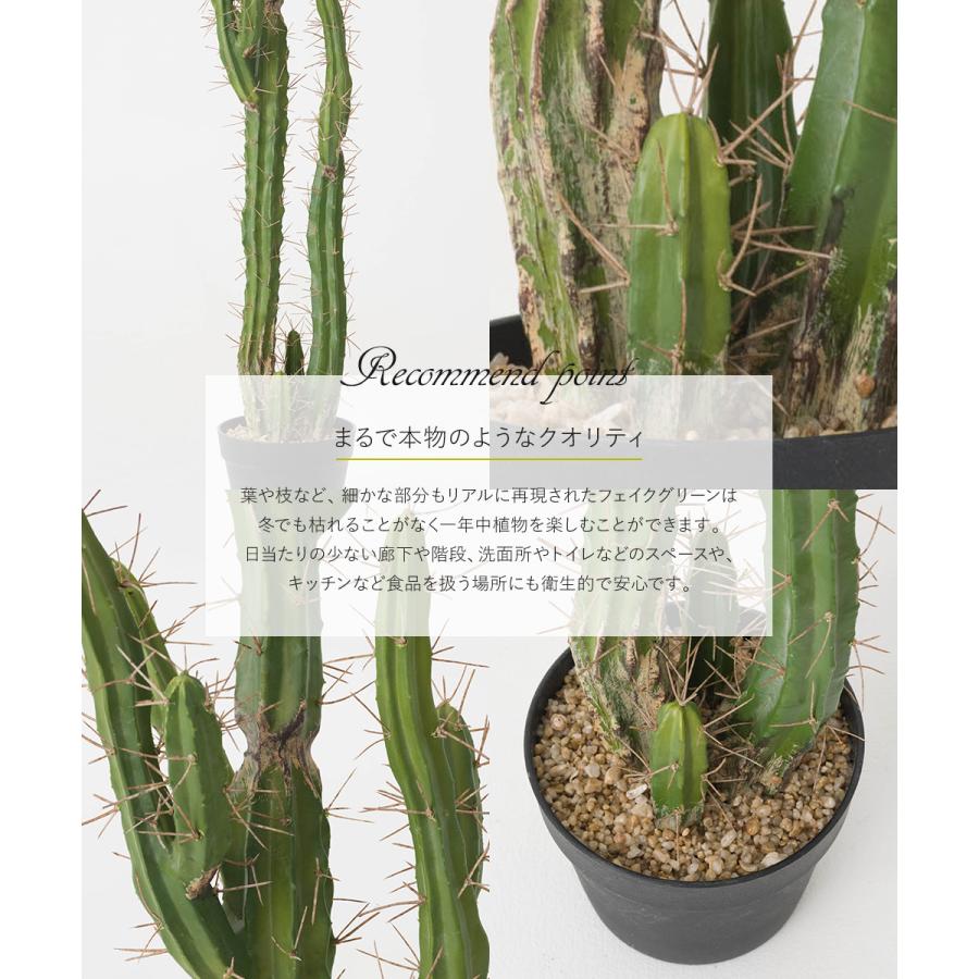 フェイクグリーン サボテン 人工 観葉植物 造花 リアル 大型 フェイクグリーン サボテン 人工 観葉植物 造花 リアル 大型