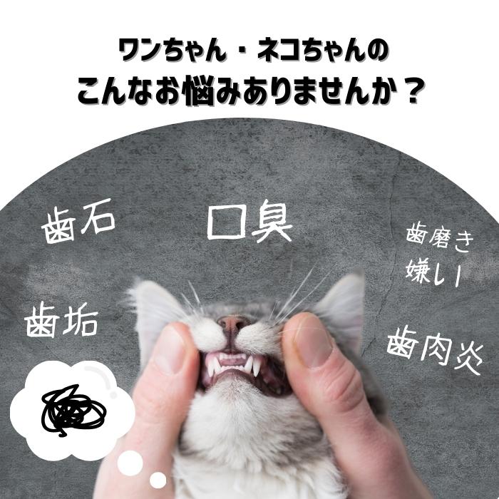プロバイオデンタルPET プレミアモード 風味なし 猫 犬 小動物用 歯磨き サプリ 乳酸菌 ふりかけ 口臭 歯垢 口内炎 歯肉炎 歯周病 歯石 シニ : 美容雑貨Cabfive - 通販 ...