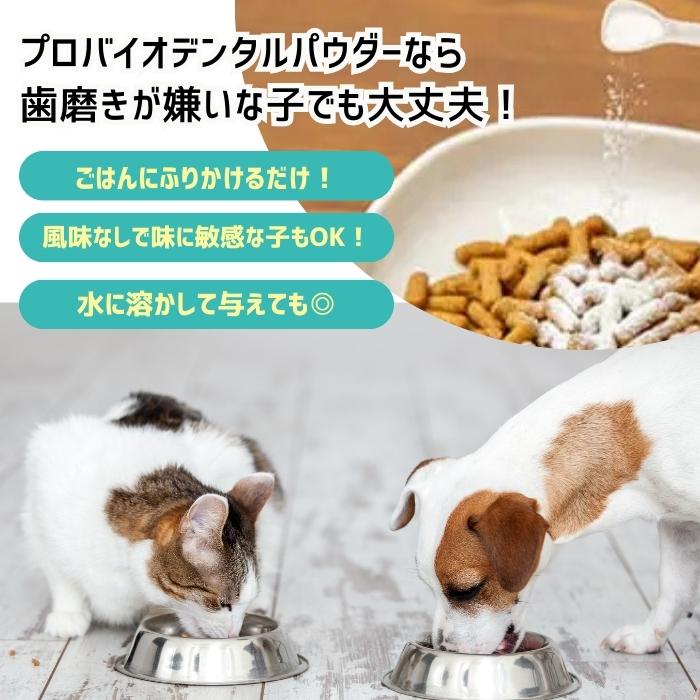 プロバイオデンタルPET 粉末タイプ 9.8g 3個セット (プレミアモード 風味なし 猫 犬 小動物用 歯磨き サプリ 乳酸菌 ふりかけ 口臭 歯垢) : 美容雑貨Cabfive - 通販 ...