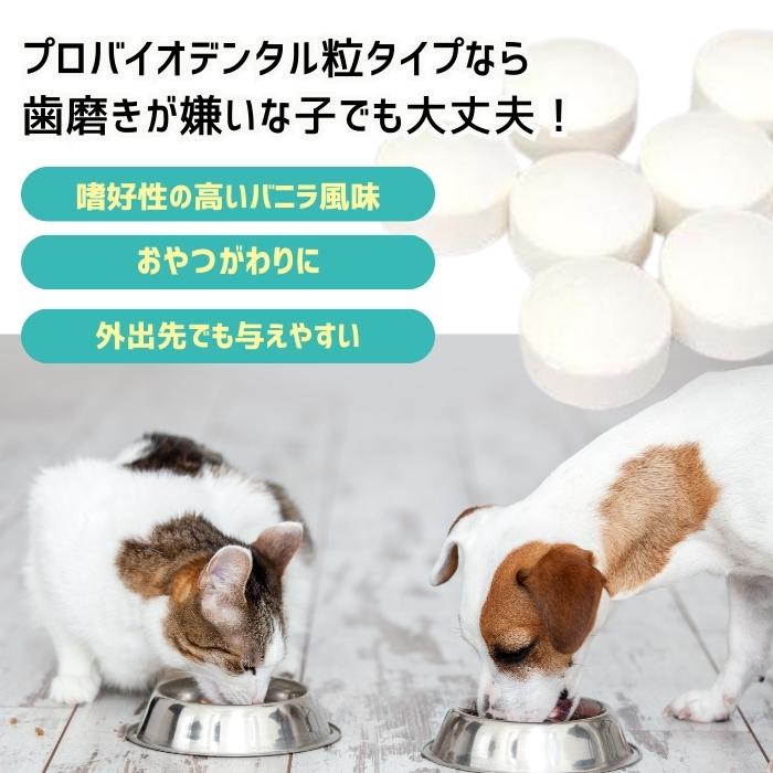 プロバイオデンタルPET 粒タイプ 60粒 (プレミアモード プロバイオデンタルペット 猫 犬 おやつ 小動物用 歯磨き サプリ 乳酸菌 口臭 歯垢) : 美容雑貨Cabfive - 通販 ...