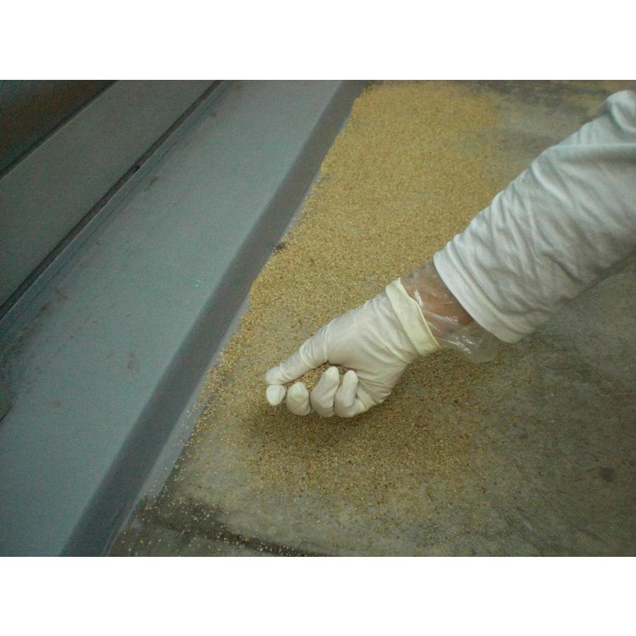 ムカデ博士 10kg (対策 害虫駆除 塗布 殺虫剤 駆虫 予防 毛虫 安全) : 美容雑貨Cabfive - 通販 - Yahoo!ショッピング