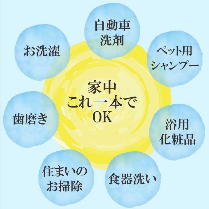 えみな Pure Soap si・emina 99 3個セット siemina しえみな ピュアソープ 抗酸化溶液 万能石鹸 シエミナ せっけん 洗剤 : 美容雑貨Cabfive - 通販 ...