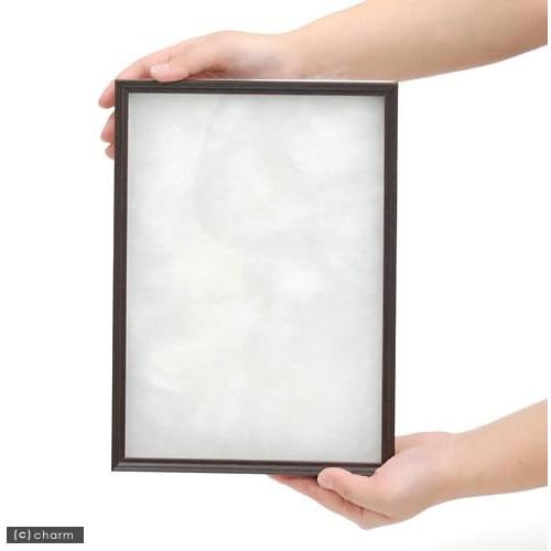 シーラケース シーラ箱 スリム 単品 (標本箱 生体 観察 自由研究 趣味 コレクション) : 24-616287-01 : 美容雑貨Cabfive - 通販 - Yahoo!ショッピング