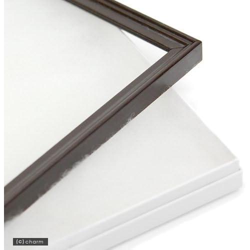 シーラケース シーラ箱 スリム 単品 (標本箱 生体 観察 自由研究 趣味 コレクション) : 美容雑貨Cabfive - 通販 - Yahoo!ショッピング