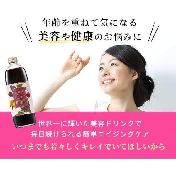 アビオス 効酸果 (こうさんか) 500ml 2個 (アサイベリー アサイー ジュース ドリンク 抗酸化 2本) : 美容雑貨Cabfive - 通販 - Yahoo!ショッピング