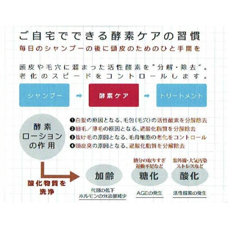 IBC enz-SQ 酵素ローション for スカルプ&ヘア 300ml 1個セット ( エンザ エスキュー ) : 3371-000728-1 : 美容雑貨Cabfive - 通販 ...