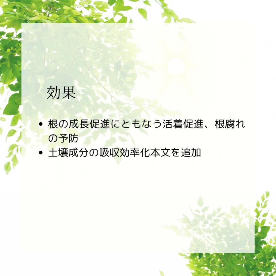 甘彩六花シリーズ 200ml 成長促進バイオ製剤 3種から選べる あまいろりっか 植物 品質向上剤 肥料 甘彩六花 アマイロリッカ 活根彩果 カッコンサイカ 健花 スコ : 美容雑貨 ...