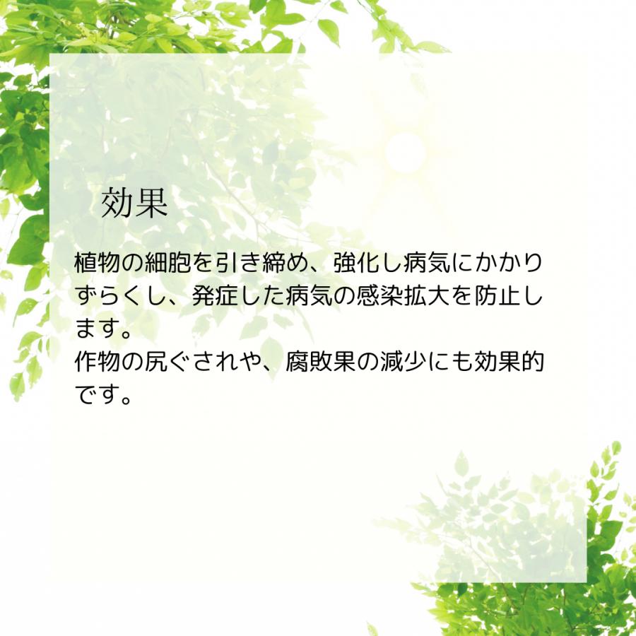 甘彩六花シリーズ 200ml 成長促進バイオ製剤 3種から選べる あまいろりっか 植物 品質向上剤 肥料 甘彩六花 アマイロリッカ 活根彩果 カッコンサイカ 健花 スコ : 美容雑貨 ...
