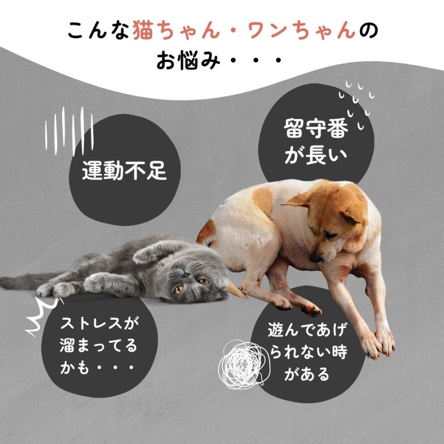 猫 おもちゃ 自動 ボール 選べる8種x1種：1個セット(自動走行 犬 ペット 動くおもちゃ ストレス解消 ) : 美容雑貨Cabfive - 通販 - Yahoo!ショッピング