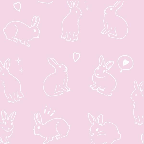 Evereon バードケージ 60cm用 張替生地 USAGI 傘をきせかえ！ 雨傘 ビニール傘 おしゃれ オシャレ かわいい 梅雨 レディース ウサギ うさぎ サエラ caetla ...