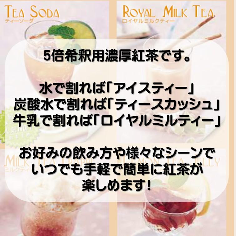 FADIE 紅茶飲料 ブラックティー 加糖 500ml カフェファディ 5倍希釈 本格 紅茶 お手軽 濃縮 アイスティ ミルクティ ファディ : カフェ ファディ コーヒー 公式Yahoo!店 ...