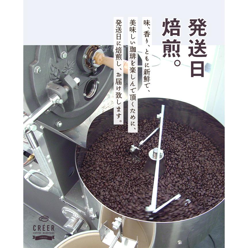 ペルー カハマルカ G1 ブルボン ウォッシュド 200g シティロースト 中深煎り 有機栽培 JAS認証生豆使用 2025年8月生豆入荷 発送日焙煎 ハンドピック済 : 自家焙煎珈琲クレエ ...