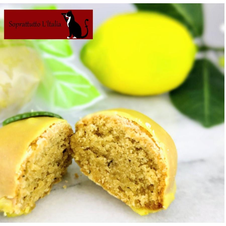 母の日 レモンケーキ 手作り イタリア スイーツ ギフト アールグレイ 紅茶 チョコレート プレゼント お返し 贈り物 取り寄せ : ケーキ屋 Soprattutto L’Italia ...