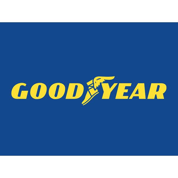 GOODYEAR スノーソックス 布製 タイヤチェーン SUPER XLサイズ ニッサン エクストレイル / SNT33 235/60R18 18インチ用 :k4488-ns53 ...