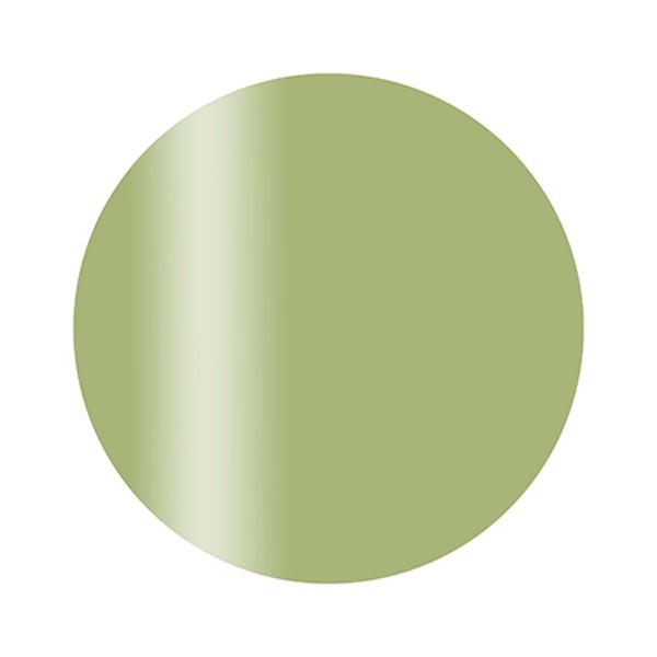 Calgel カルジェル カラーカルジェル プラス S10GR サニーグリーン 2.5g : ネイルショップキャラカ - 通販 - Yahoo!ショッピング