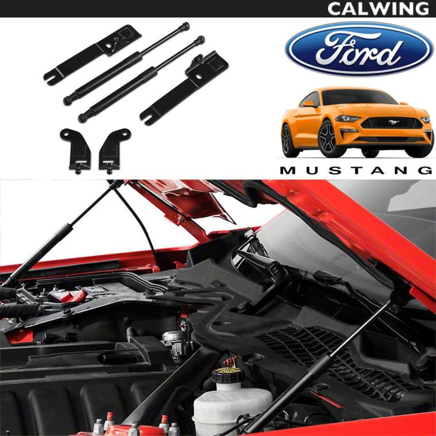 15-19y フードストラットキット ボンネットフードダンパー ラウシュ |マスタング :112433:キャルウイングパーツセンターヤフー店 - 通販 - Yahoo!ショッピング