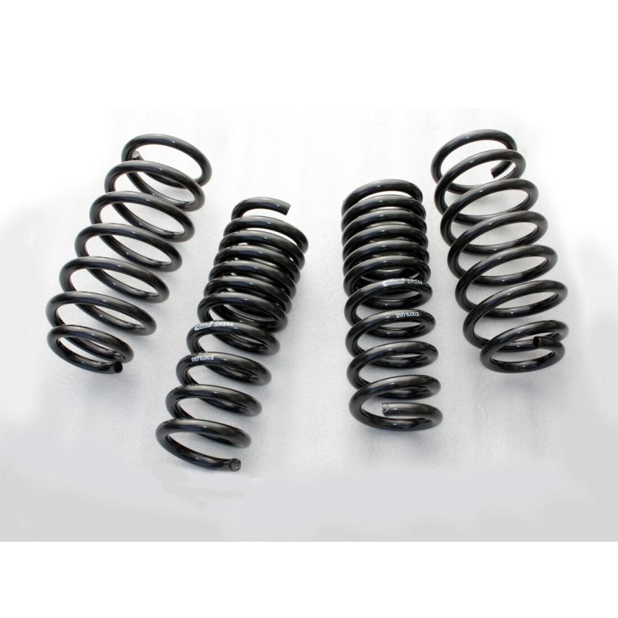 08y-17y チャレンジャー V6/V8 | ロワードコイル ロワリング アイバッハ : キャルウイングパーツセンターヤフー店 - 通販 - Yahoo!ショッピング