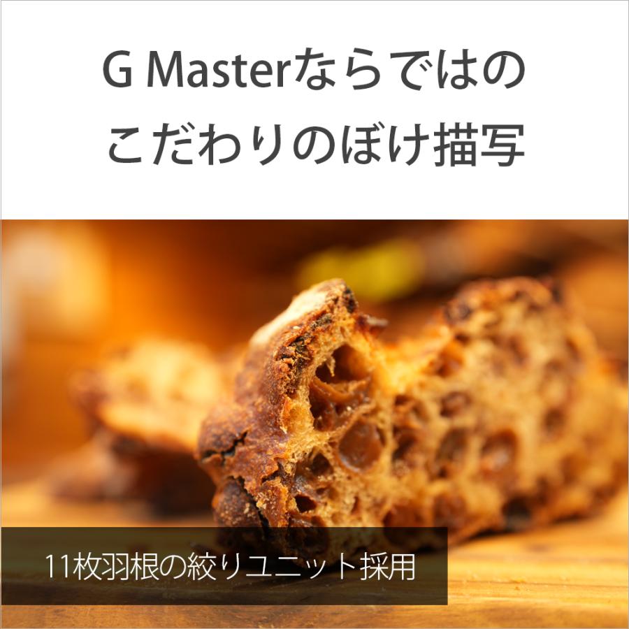 G Master [新品]SONY ソニー FE 16-35mm F2.8 GM II SEL1635GM2（キャンペーン対象商品） : カメラの大林Yahoo!店 - 通販 - Yahoo ...