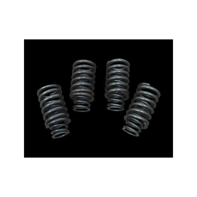 イースタンモーターサイクルパーツ スポーツスター ビッグツイン インナー＆アウターバルブスプリング 84-04yBT Eastern ...