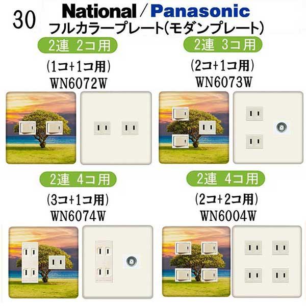 パナソニック 【フルカラー(モダン)プレート】2連 コンセントプレート スイッチプレート 写真 PHONE (森林) 30番 : CASEMAKER - 通販 - Yahoo!ショッピング