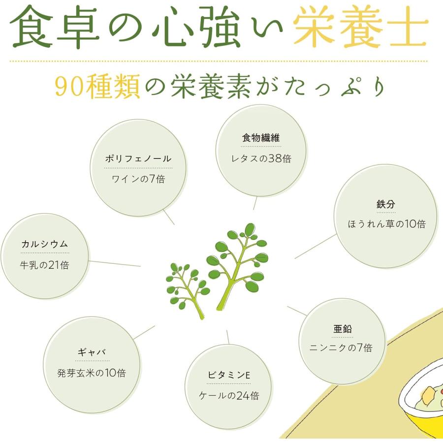 太陽のモリンガ茶 31包入り×3g 総量93g ノンカフェイン 無農薬 たっぷり3gテトラパックで早く煮出せる、濃くつくれる、遠赤焙煎で美味しい 新パッケージ : キャンブリックハウス ...