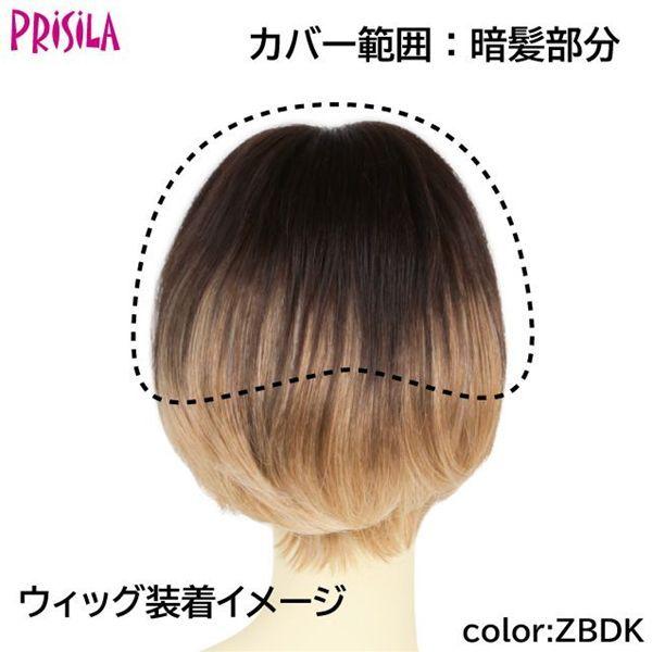 プリシラ 耐熱白髪かくしウィッグ【人毛・分け目タイプ】ST-100耐熱