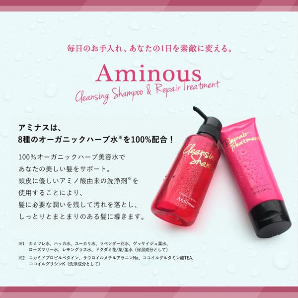 Aminous（アミナス） 【在庫限り特価】 クレンジングシャンプー・リペアトリートメント セット【正規販売店】(送料無料) アミノ酸 ...