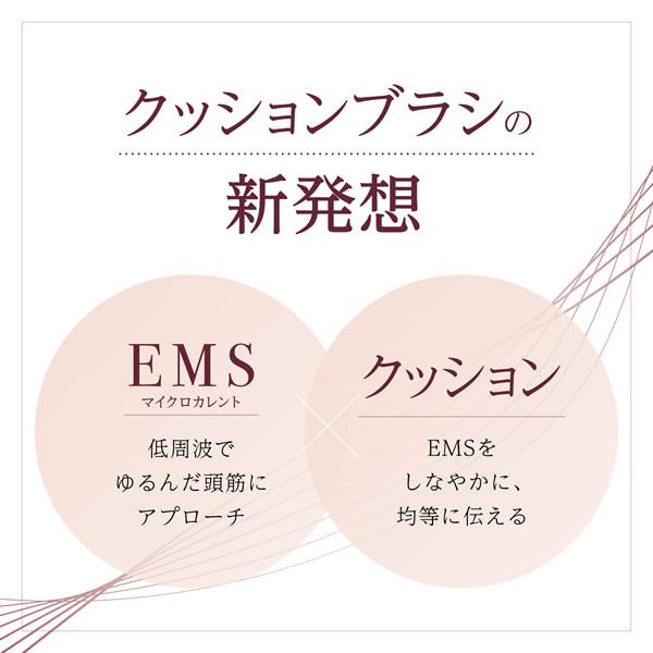 WAVEWAVE 選べるおまけ付き WAVEWAVE EMS ブラシエアー (送料無料