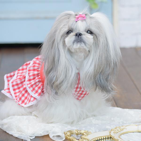 CanNana WEB限定バレッタ ラメ お花 コームパッチン リボン クリップアクセ アクセサリー ブランドセレブ きゃんナナ 25-0763 : 公式きゃんナナオンラインショップ - 通販 ...