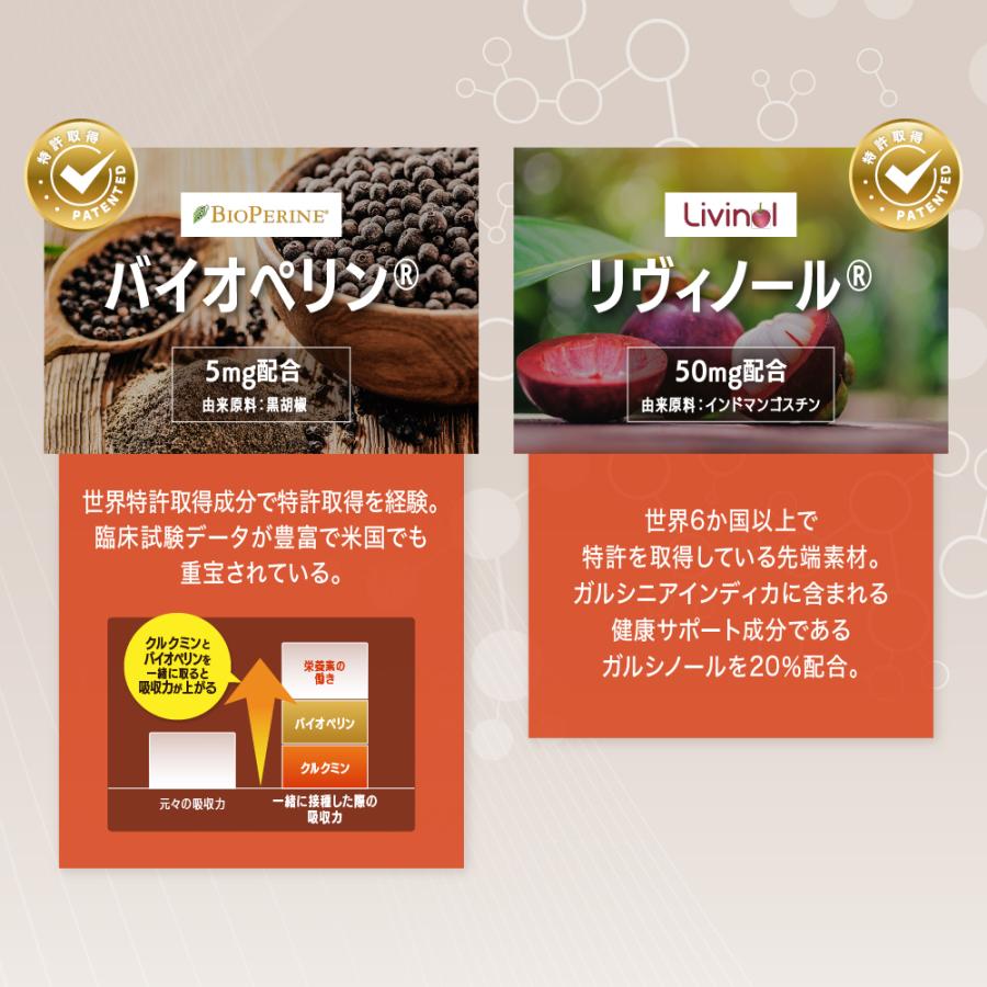 アルコールを科学する 』 Re;BONE 高吸収型 クルクミン 配合 サプリ 90粒 クルクルージュ 豚肝臓酵素分解物 シリマリン 配合 ウコン サプリ 飲み会 サプリ ...