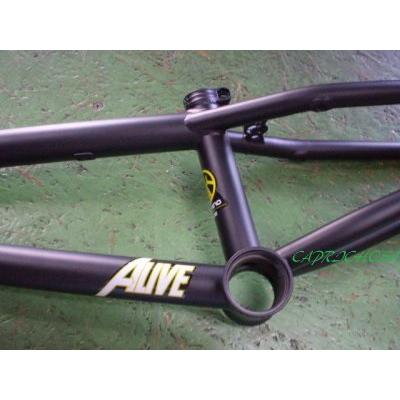 MANKIND ALIVE TT19.0 M.BK : カプリ部品店 - 通販 - Yahoo!ショッピング