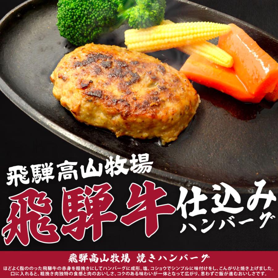 半額 飛騨高山牧場 焼きハンバーグ＆こだわりカレーセットBHF-EJR ギフト お返し 内祝い 志 お礼 満中陰志 粗供養 出産 結婚 お祝い お歳暮 お彼岸 : caprice.Gift ...