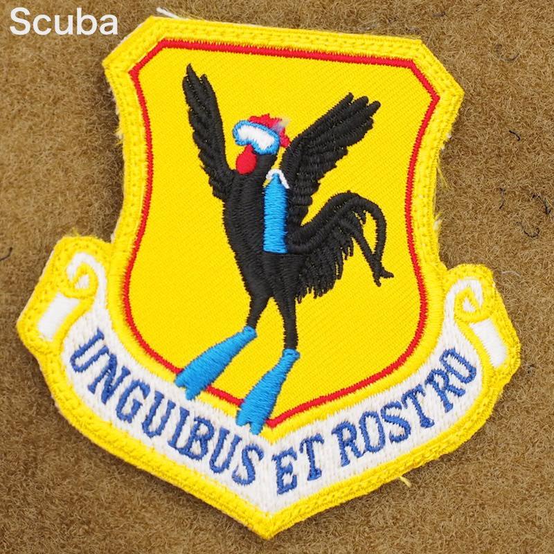 Military Patch（ミリタリーパッチ）18th Wing 第18航空団 ジョークパッチ カラー [3種] : キャプテントム ...